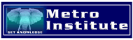Metro Institute